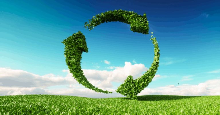 Sustainability in Reverse Logistics: How to Minimise Waste and Reduce ...